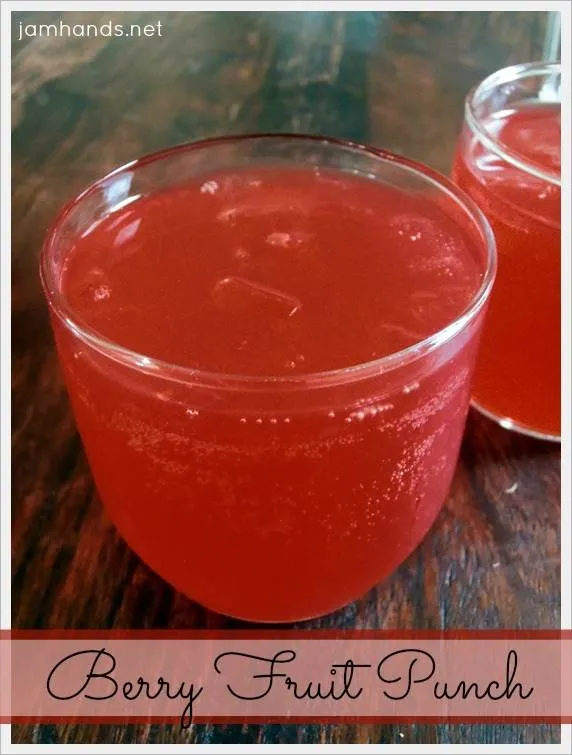 Berry Fruit Punch - Jam Hands